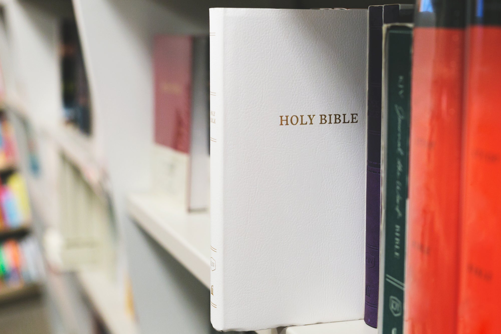 Bibles
